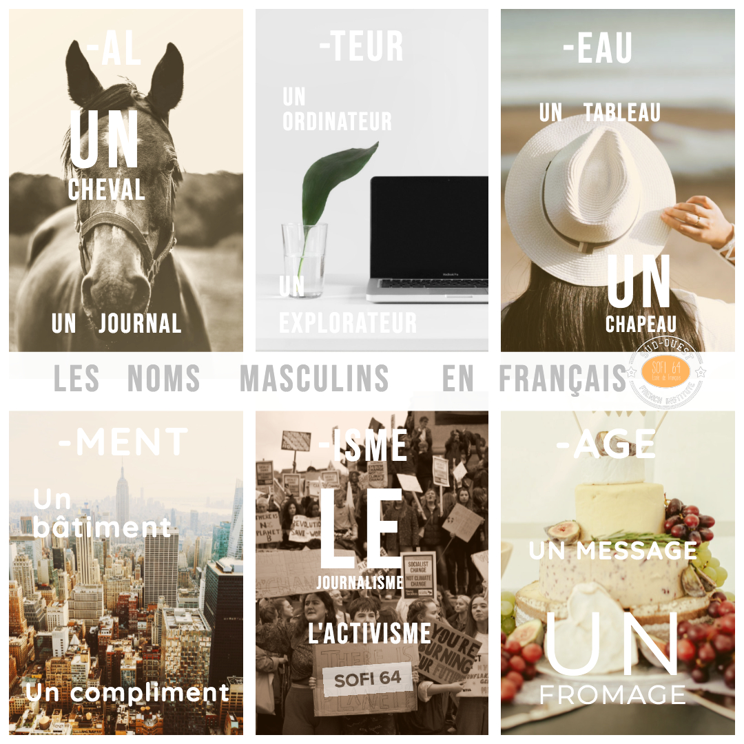 Masculine Nouns in French | SOFI 64
